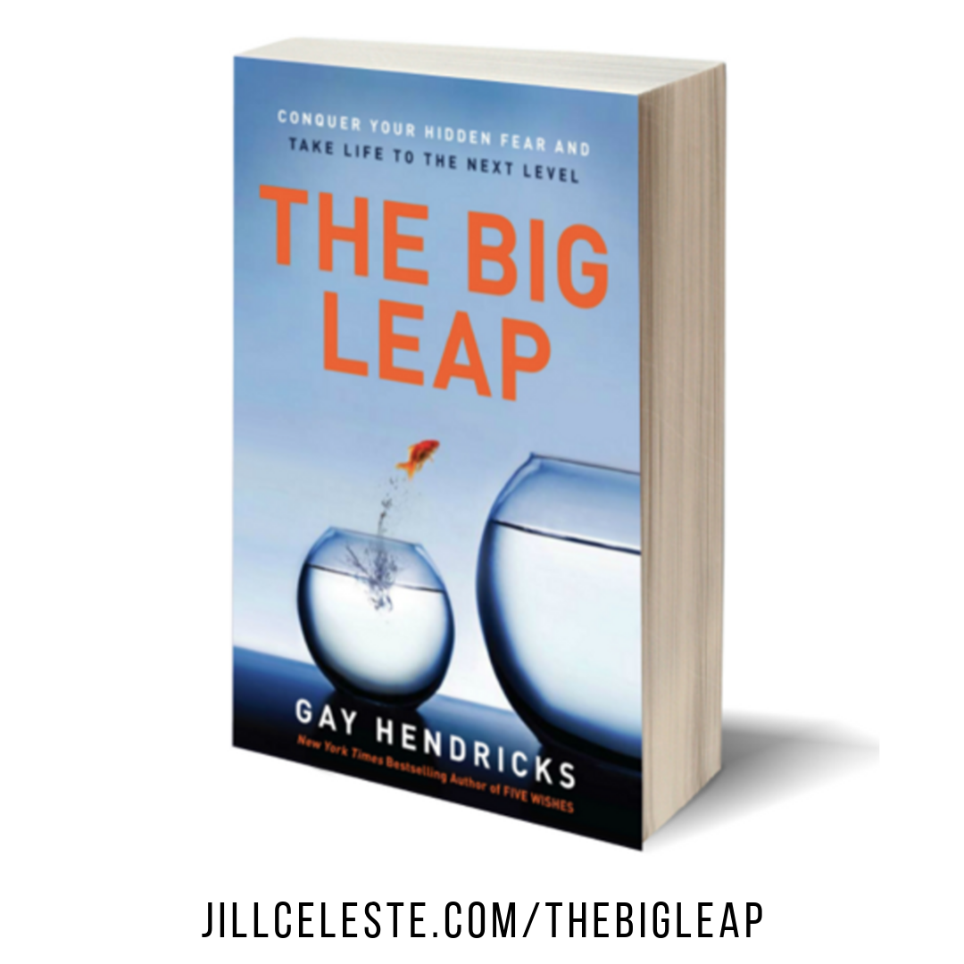 Book Review: The Big Leap by Gay Hendricks – Virtual Networkers